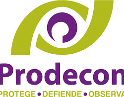 PRODECON archivos - VERSA Consultores Fiscales